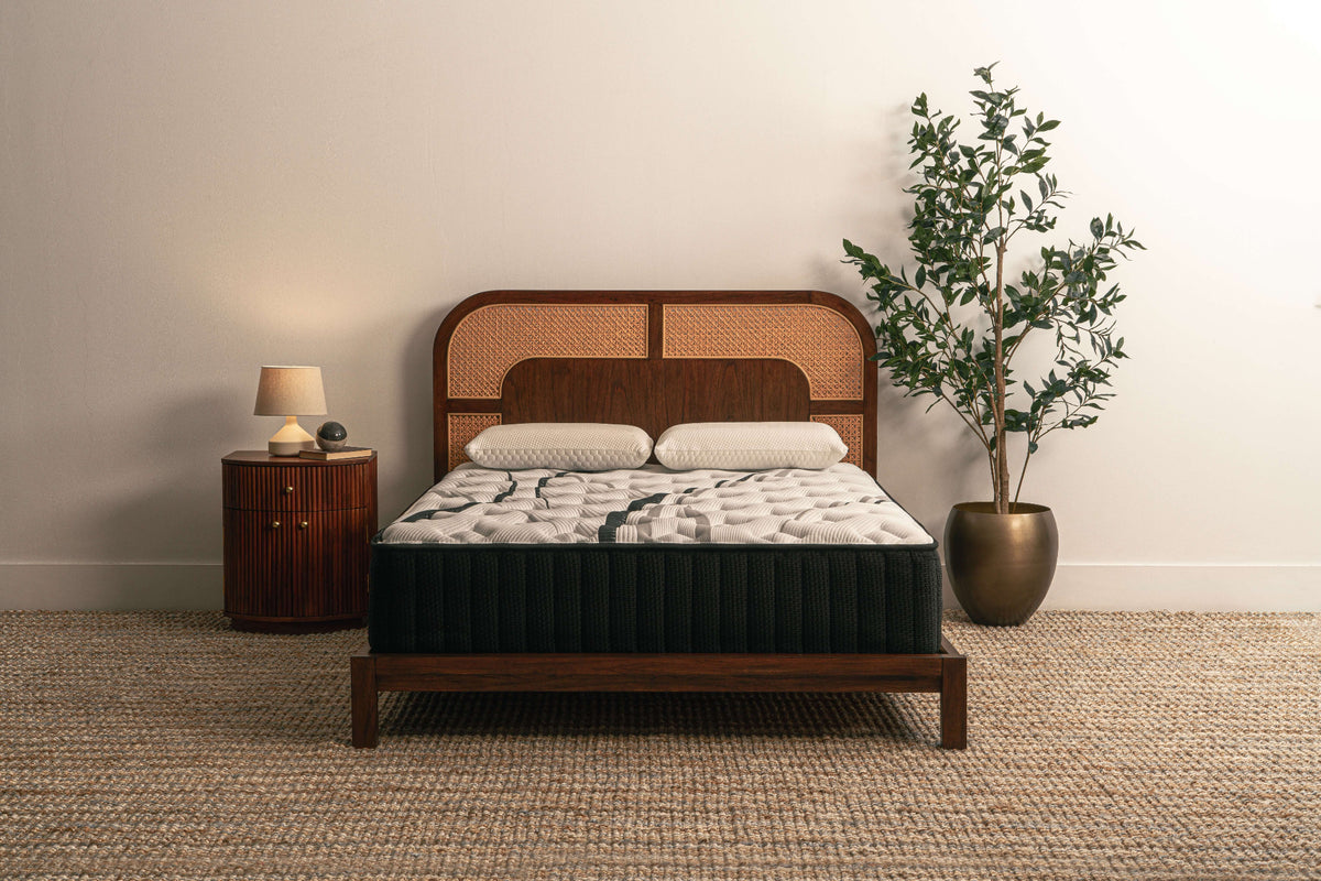 Evolutionary Medium – Lunessence Sleep